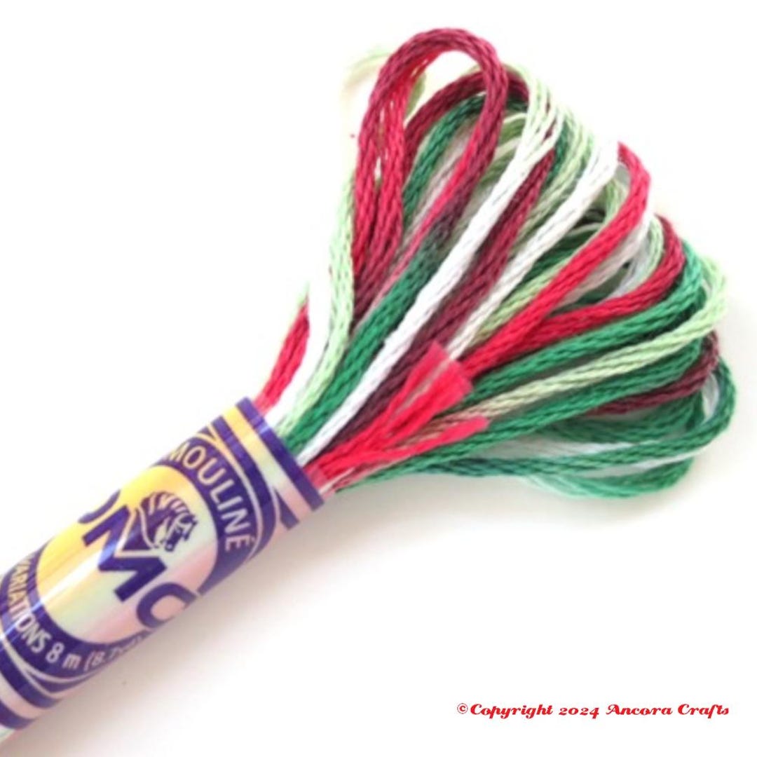 DMC 4042 Variegated Embroidery Floss Very Merry - Etsy