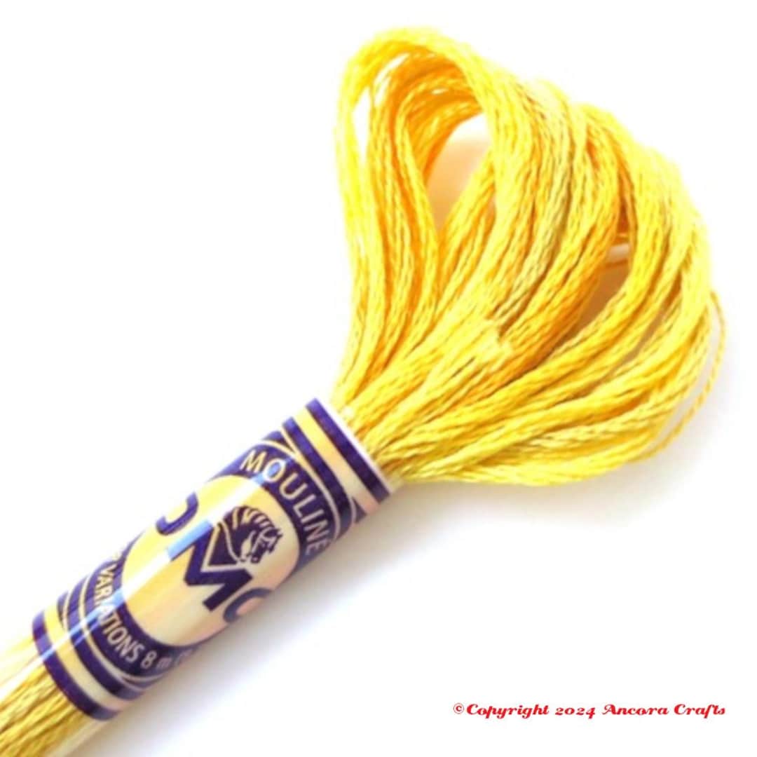 DMC 4075 Variegated Embroidery Floss Wheat Fields - Etsy