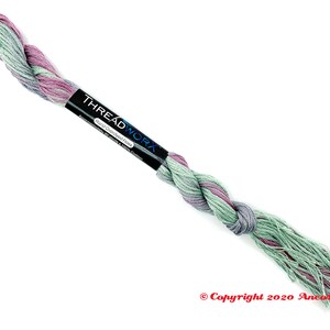 Threadworx 1132 Variegated Embroidery Floss Rain Forest - Etsy