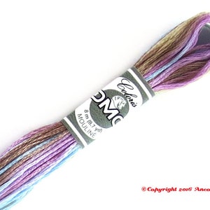 DMC 4523 Coloris Variegated Embroidery Floss North Wind vent Du Nord - Etsy