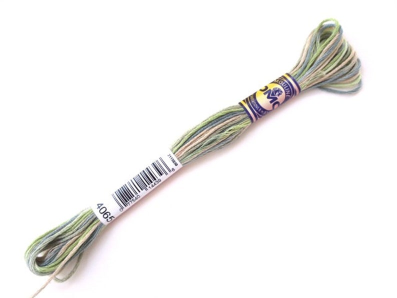 DMC 4065 Variegated Embroidery Floss Morning Meadow - Etsy