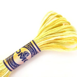 DMC 4080 Variegated Embroidery Floss Daffodil Fields - Etsy