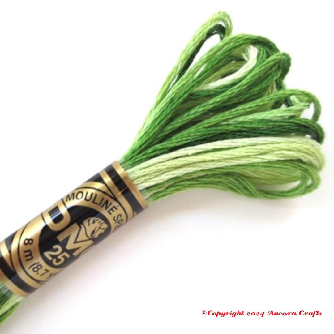 DMC 92 Variegated Embroidery Floss Green Shaded Ombre - Etsy