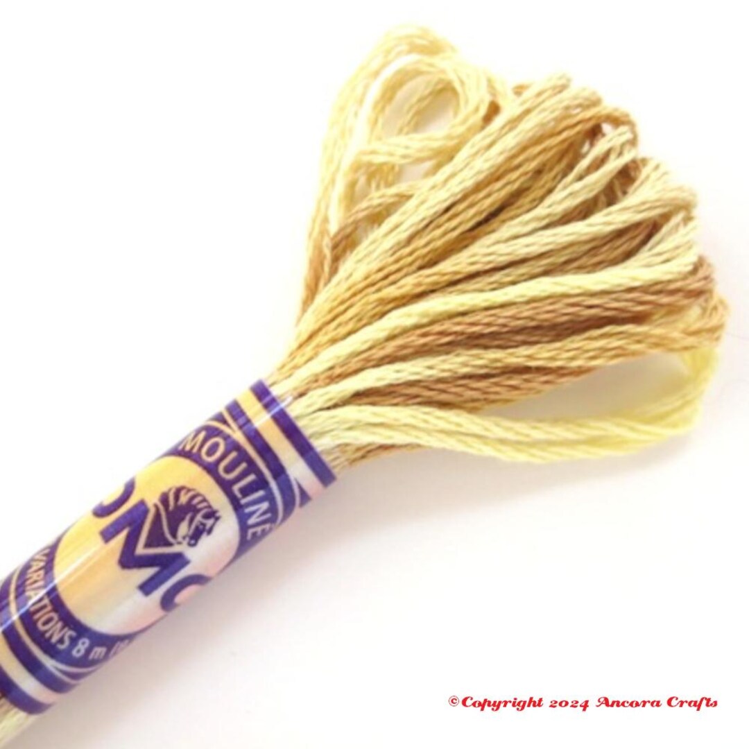 DMC 4072 Variegated Embroidery Floss Toasted Almond - Etsy