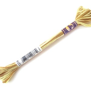 DMC 4072 Variegated Embroidery Floss Toasted Almond - Etsy