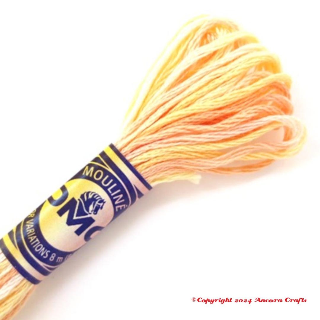 DMC 4090 Variegated Embroidery Floss Golden Oasis - Etsy