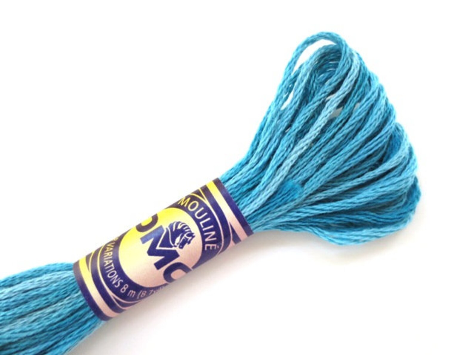 DMC 4025 Variegated Embroidery Floss Caribbean Bay - Etsy