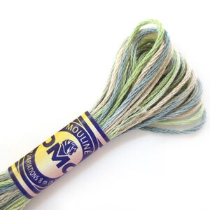 DMC 4065 Variegated Embroidery Floss Morning Meadow - Etsy