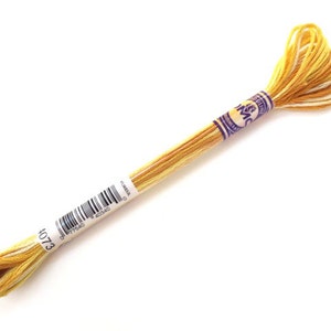 DMC 4073 Variegated Embroidery Floss Buttercup - Etsy
