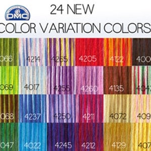 DMC Variegated Embroidery Floss - 24 Newer Color Collection Bundle - Etsy
