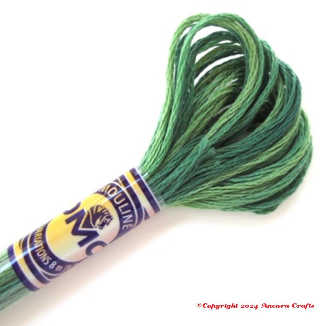 DMC 4045 Variegated Embroidery Floss Evergreen Forest - Etsy