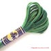 DMC 4065 Variegated Embroidery Floss Morning Meadow - Etsy