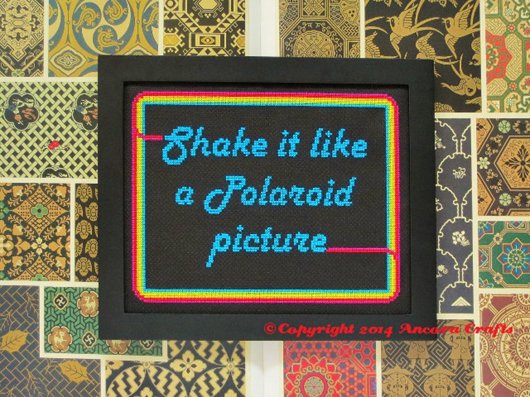 Shake It Like a Polaroid Cross Stitch Pattern PDF - Etsy