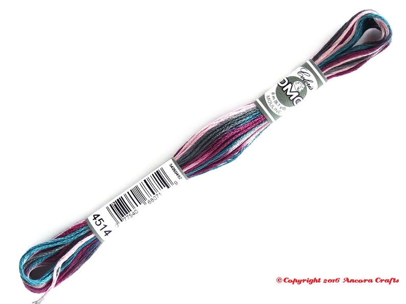 DMC 4514 Coloris Variegated Embroidery Floss Venice - Etsy