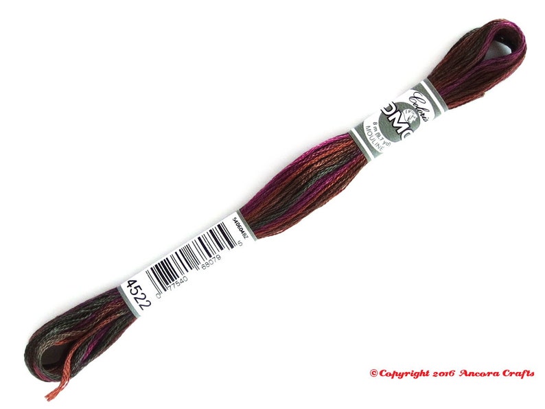 DMC 4522 Coloris Variegated Embroidery Floss Nuit Canadienne | Etsy