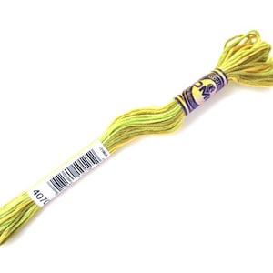 DMC 4070 Variegated Embroidery Floss Autumn Leaves - Etsy