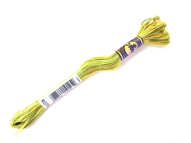 DMC 4070 Variegated Embroidery Floss Autumn Leaves - Etsy