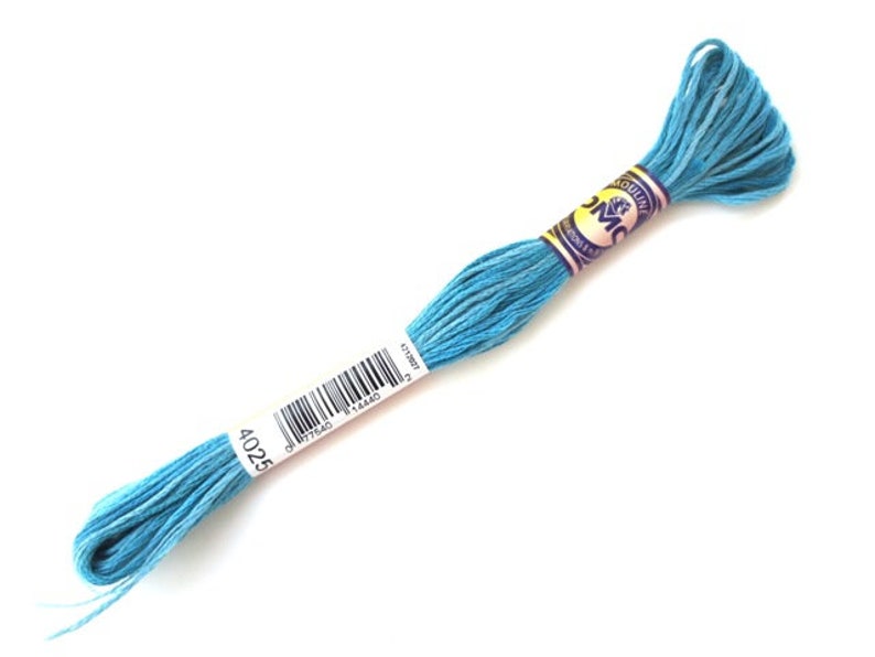 DMC 4025 Variegated Embroidery Floss Caribbean Bay - Etsy