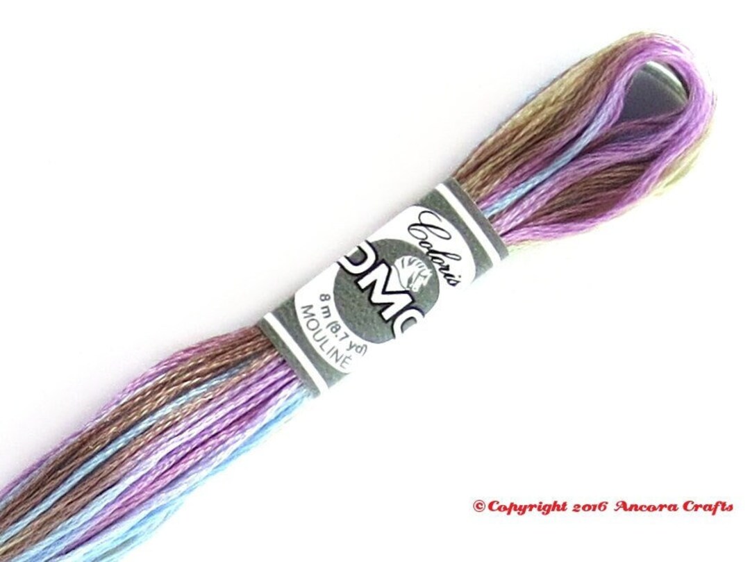DMC 4523 Coloris Variegated Embroidery Floss North Wind (vent Du Nord ...