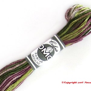DMC Coloris Variegated Embroidery Floss - 24 Color Collection Bundle - Etsy