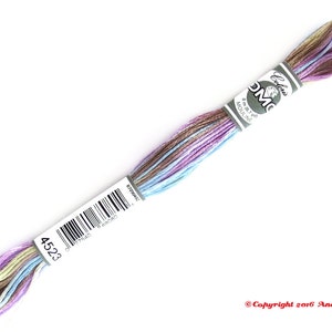 DMC 4523 Coloris Variegated Embroidery Floss North Wind (vent Du Nord ...