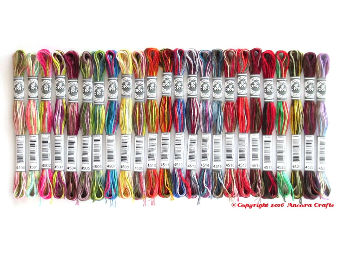 DMC Coloris Variegated Embroidery Floss - 24 Color Collection Bundle - Etsy