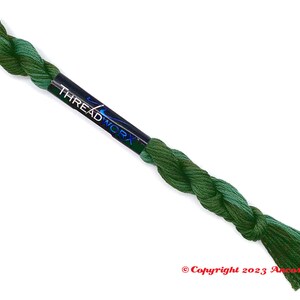 Threadworx 10840 Variegated Embroidery Floss English Hunter - Etsy