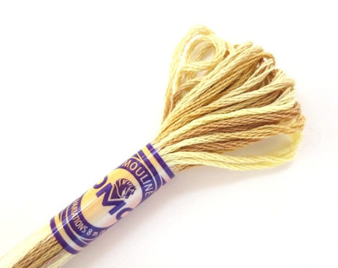 DMC 4072 Variegated Embroidery Floss Toasted Almond - Etsy