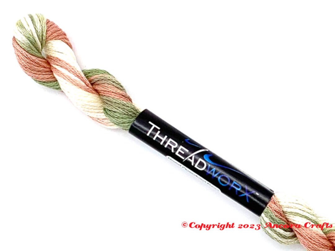 Threadworx 1113 Variegated Embroidery Floss Indian Summer - Etsy