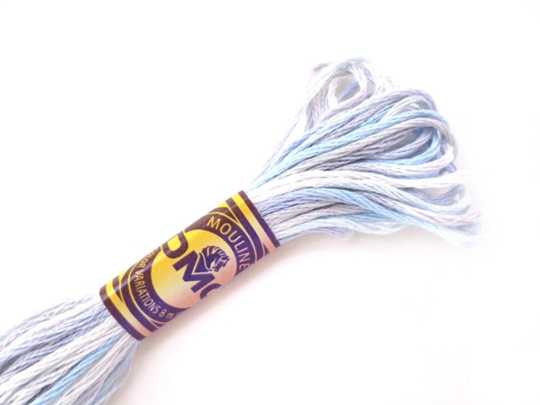 DMC 4010 Variegated Embroidery Floss Winter Sky - Etsy