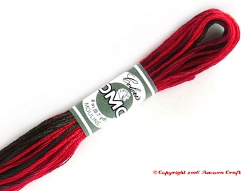 DMC 4522 Coloris Variegated Embroidery Floss Nuit Canadienne | Etsy