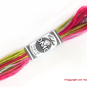 DMC Coloris Variegated Embroidery Floss - 24 Color Collection Bundle - Etsy