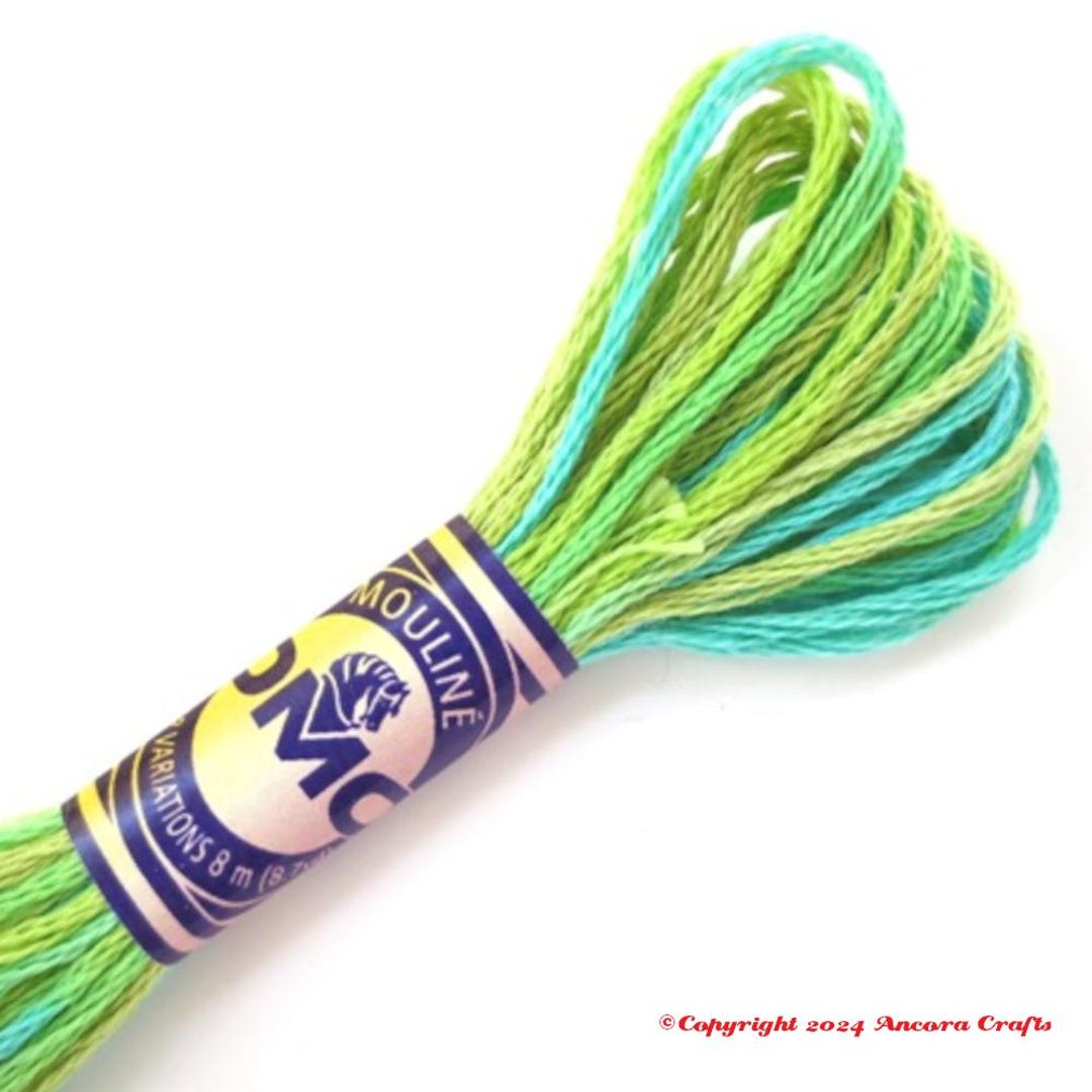 DMC 4050 Variegated Embroidery Floss Roaming Pastures - Etsy