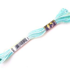 DMC 4040 Variegated Embroidery Floss Water Lillies - Etsy