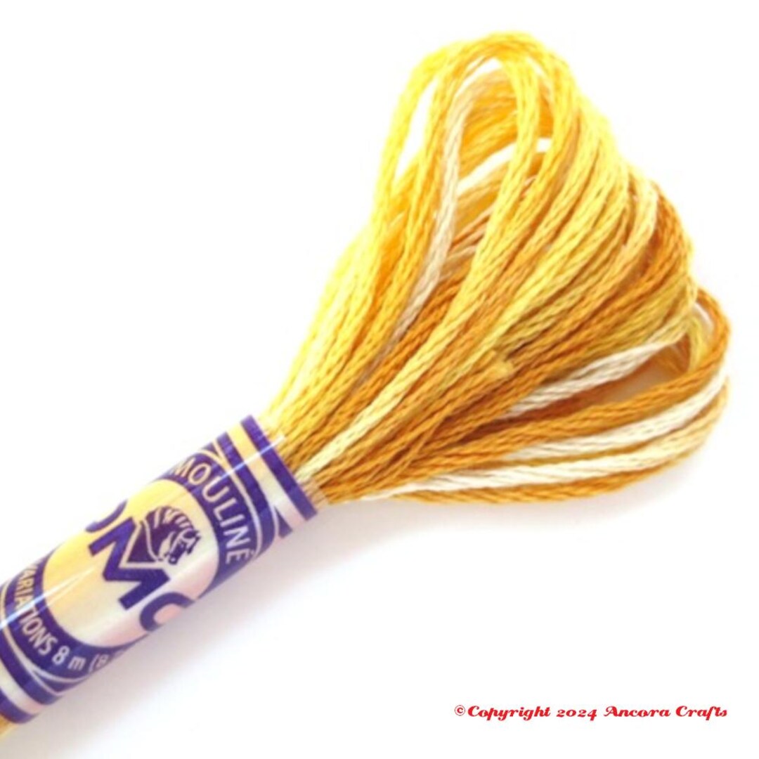 DMC 4073 Variegated Embroidery Floss Buttercup - Etsy