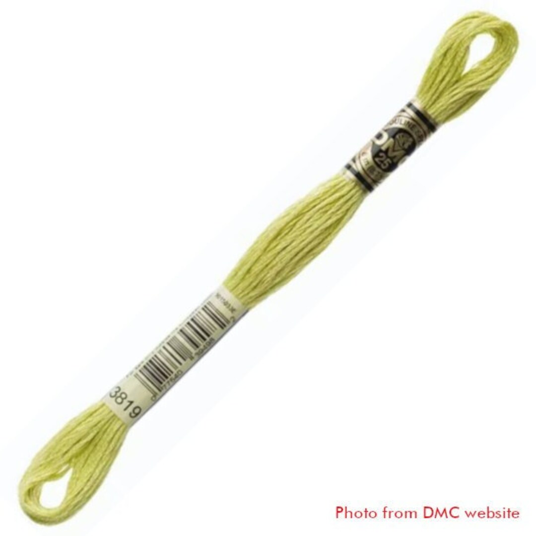 DMC 3819 Floss - 6 Strand Embroidery Floss - Light Moss Green - Etsy