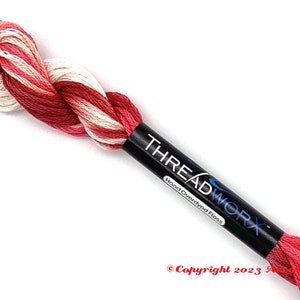 Threadworx 1087 Variegated Embroidery Floss Peppermint - Etsy