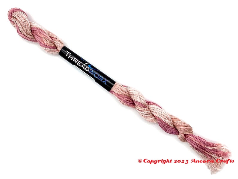Threadworx 10380 Variegated Embroidery Floss Berry Latte - Etsy