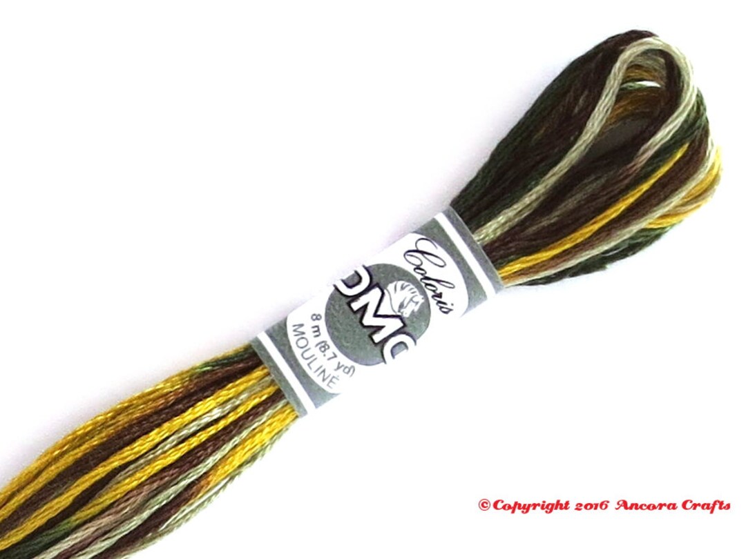 DMC 4521 Coloris Variegated Embroidery Floss Great Outdoors grands ...