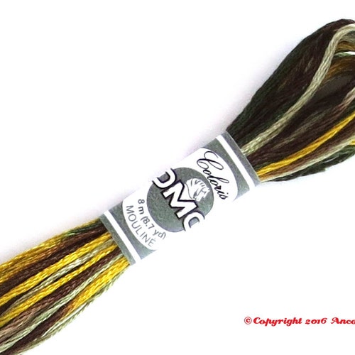 DMC 4522 Coloris Variegated Embroidery Floss Nuit Canadienne | Etsy