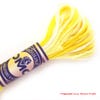DMC 4522 Coloris Variegated Embroidery Floss Canadian Night - Etsy