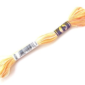 DMC 4090 Variegated Embroidery Floss Golden Oasis - Etsy