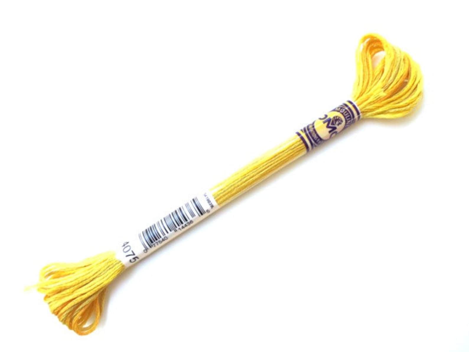 DMC 4075 Variegated Embroidery Floss Wheat Fields - Etsy