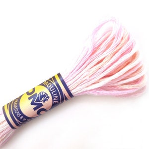 DMC 4170 Variegated Embroidery Floss Whispering Wind - Etsy