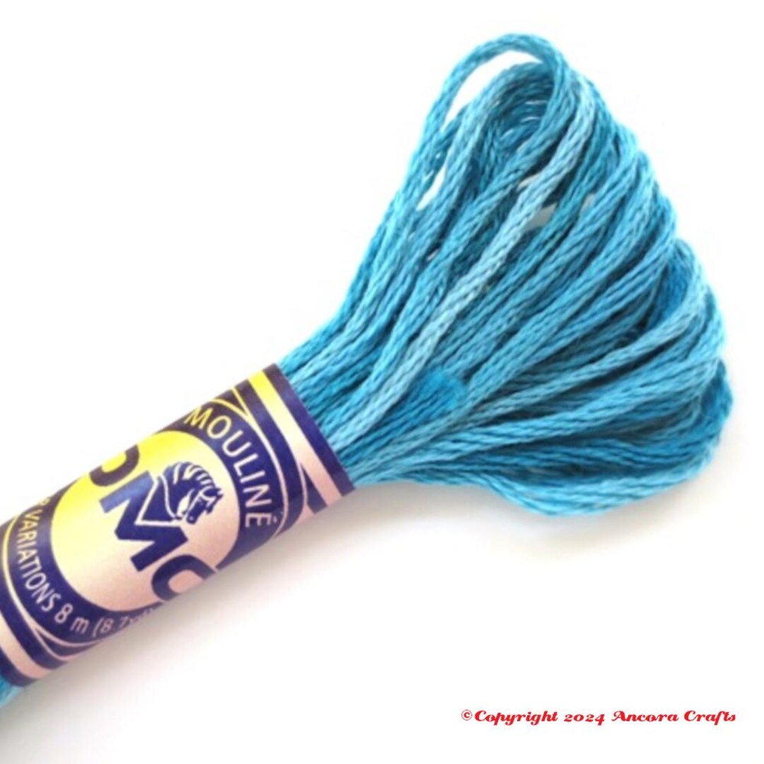 DMC 4025 Variegated Embroidery Floss Caribbean Bay - Etsy