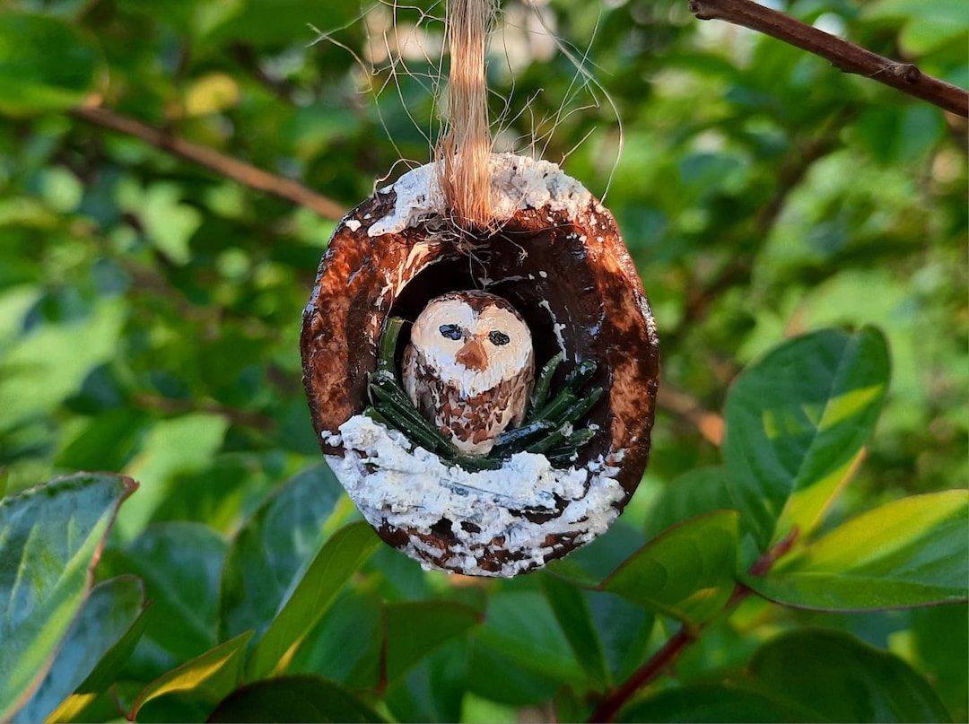 Polymer Clay Tiny Owl in Walnut Shell Ornament - Etsy