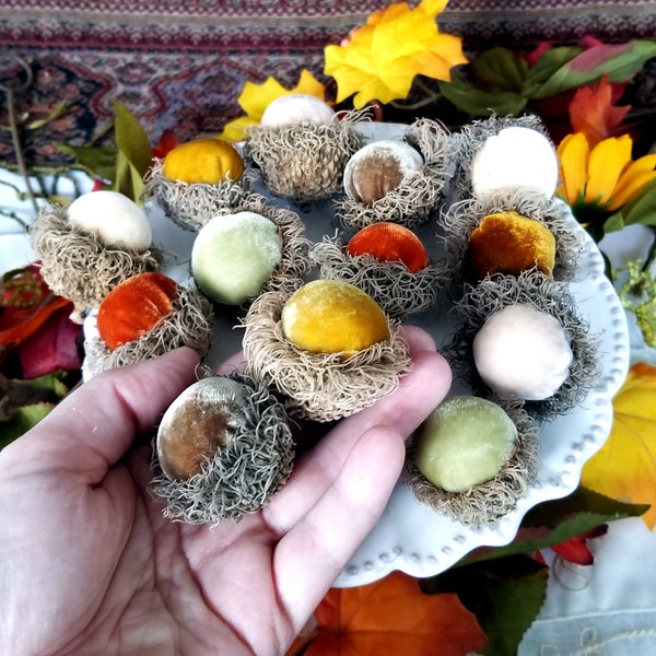 The Velvet Acorn - Etsy