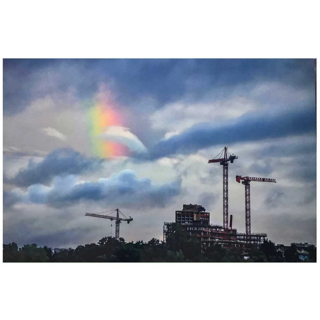 DIANE ALLISON Photograph Print Cranebow - Etsy