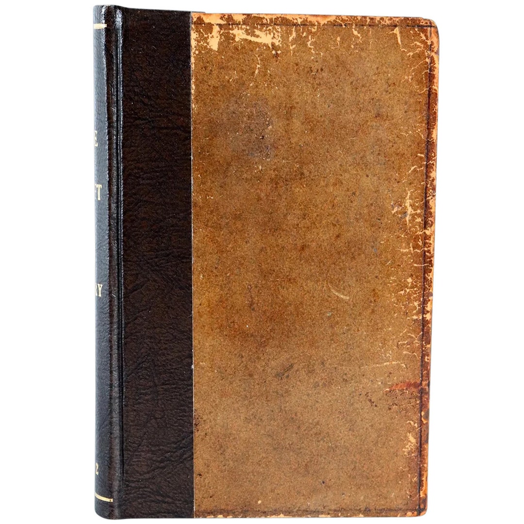 Leather Book: Remarks on the Life and Writings of Dr. Jonathan Swift by ...