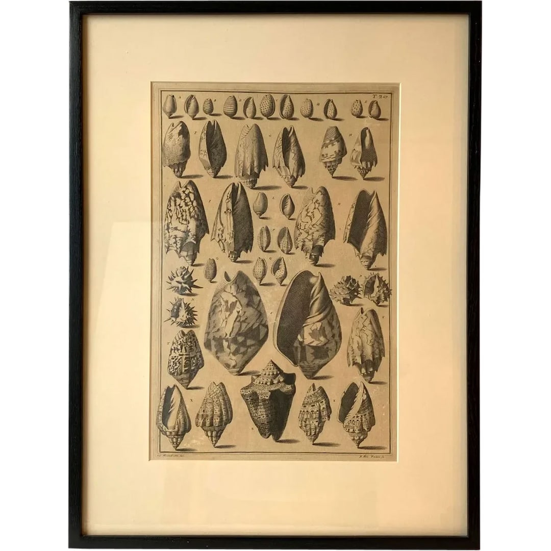 1742 Antique Italian Antonio Pazzi After GIUSEPPE MENABUONI Engraving ...